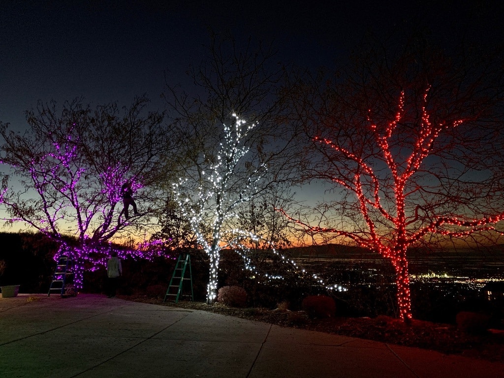 Gallery - Christmas Lighters